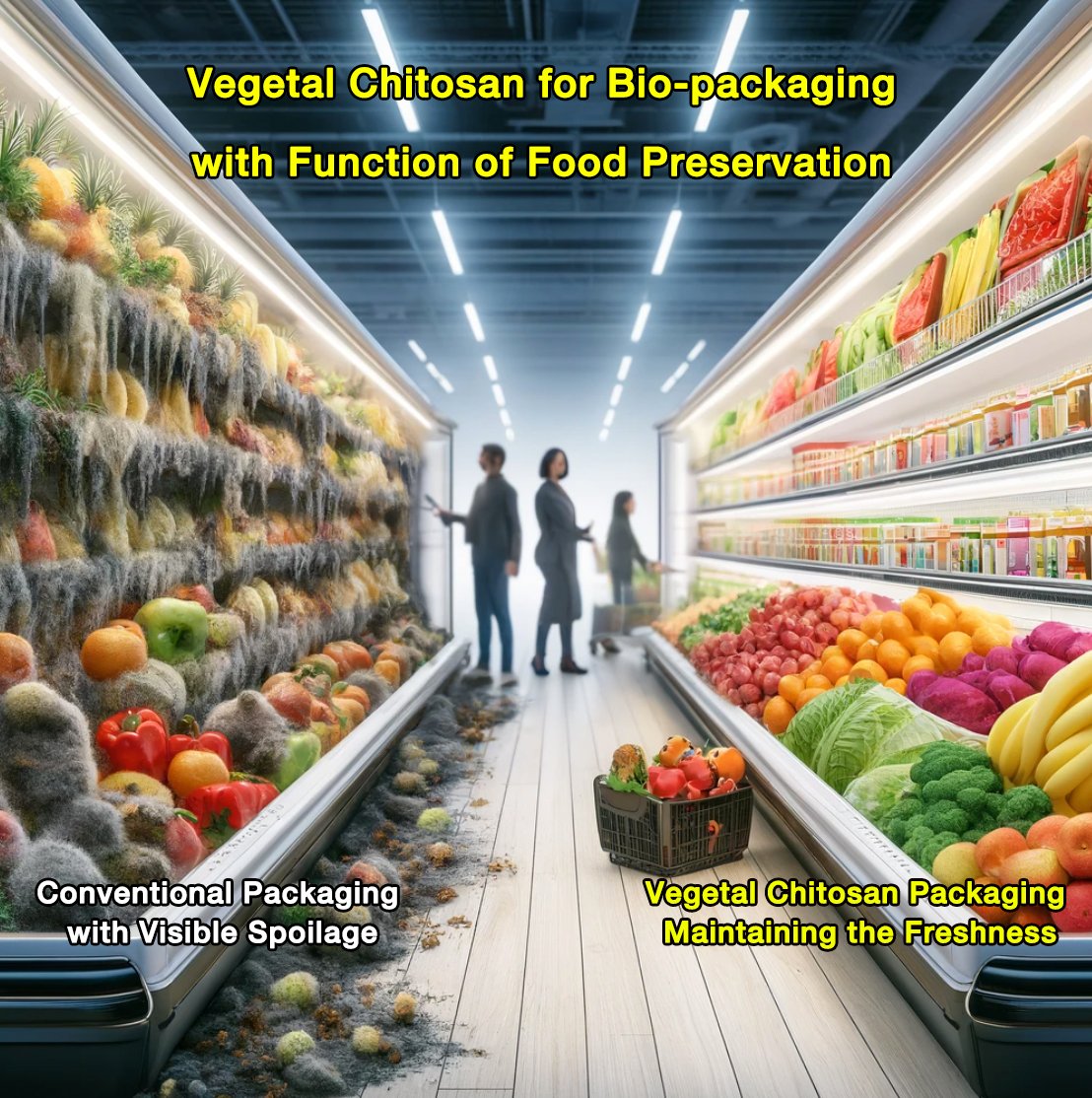 vegetal chitosan for bio-packaging