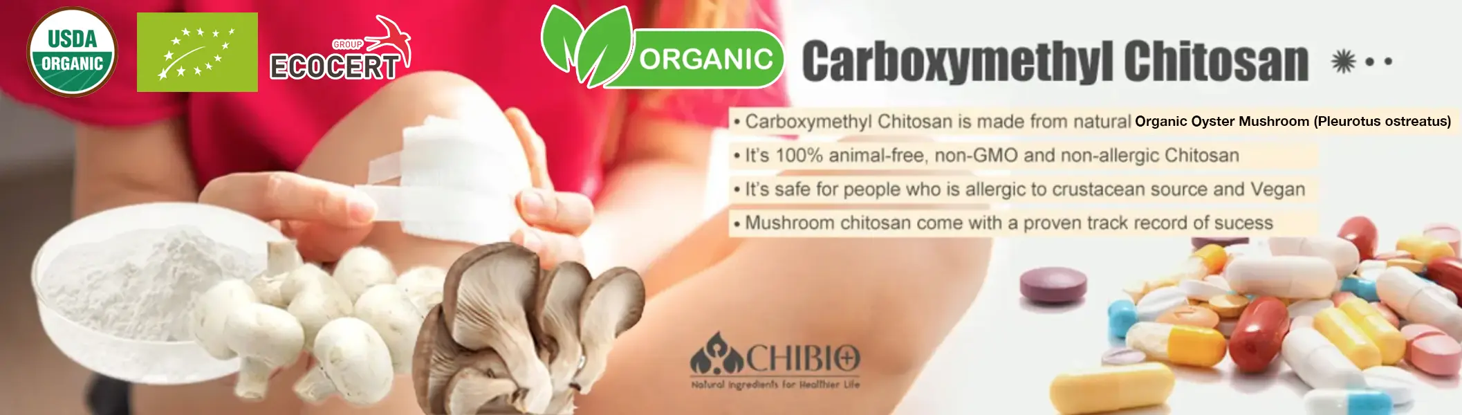 Organic Mushroom Carboxymethyl Chitosan - Vegetal Chitosan Manufacturer