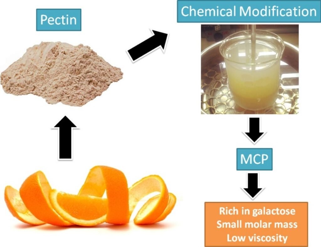 Modified Citrus Pectin (MCP) - Vegetal Chitosan Manufacturer