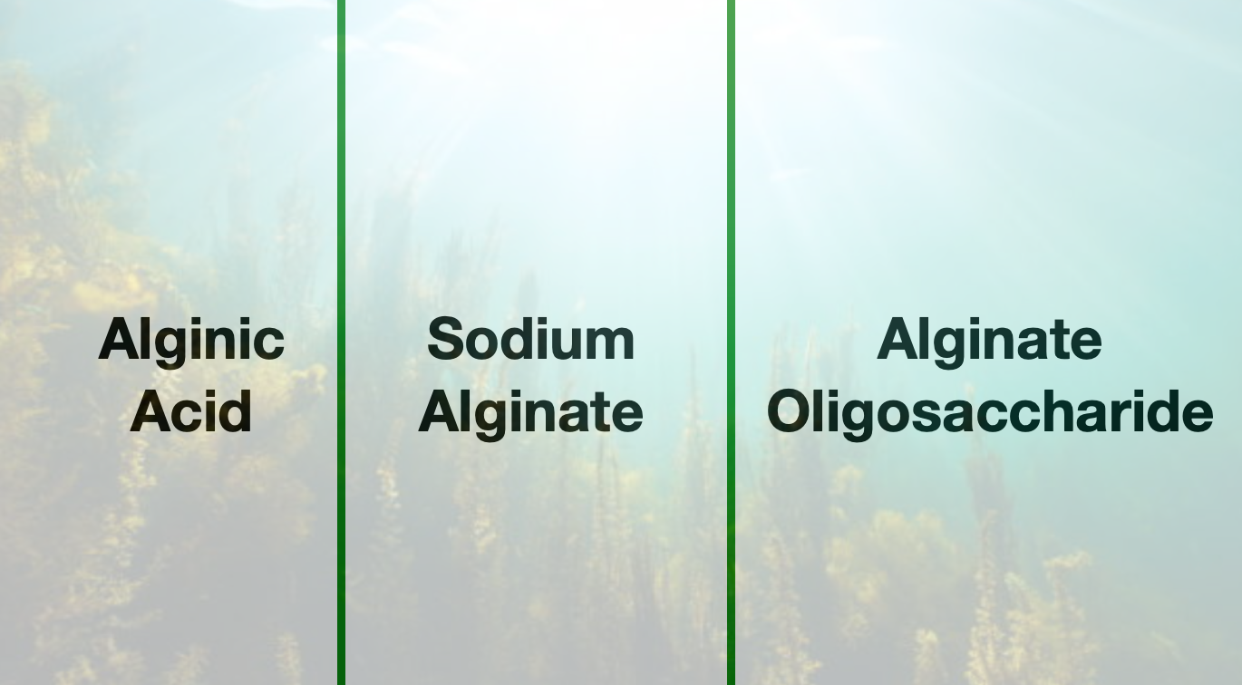 Comparison of Alginic Acid, Sodium Alginate, and Alginate ...