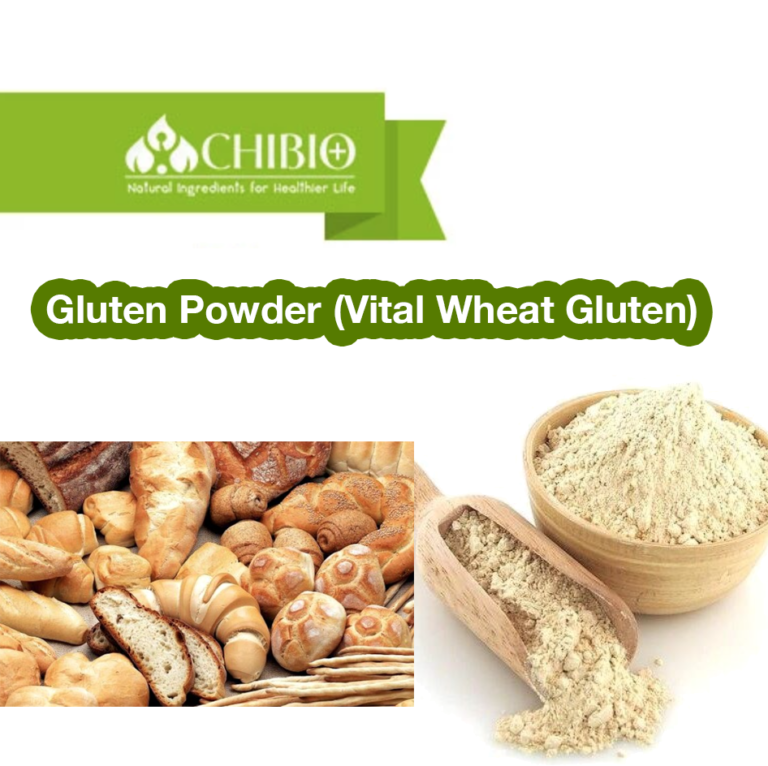Vital Wheat Gluten Powder ≥82% Protein – Functional Plant Protein ...