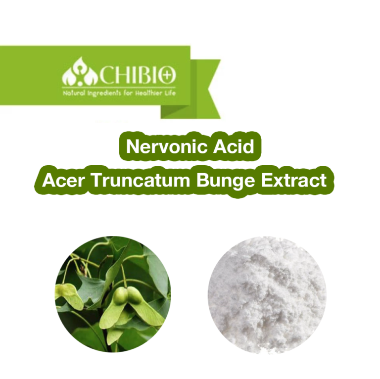 Nervonic Acid (≥90%) – Brain & Cognitive Health Supplement | Chibio Biotech
