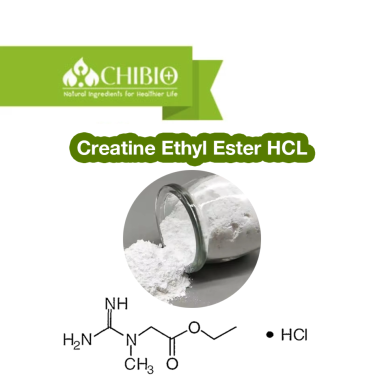 Creatine Ethyl Ester HCL (≥99%) – Advanced Sports Nutrition Supplement ...